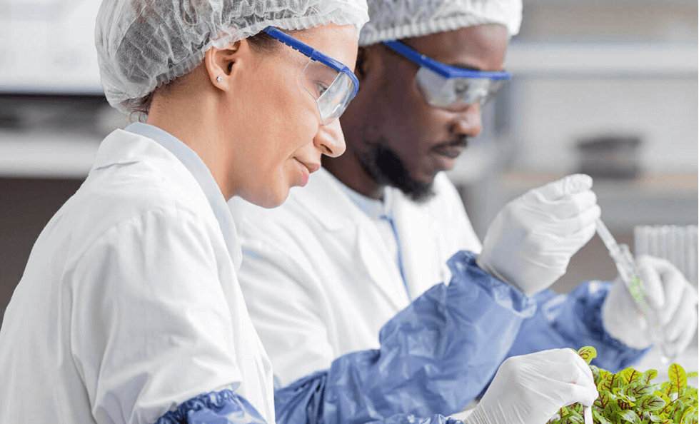 ASTM E2315 Antimicrobial Activity Testing