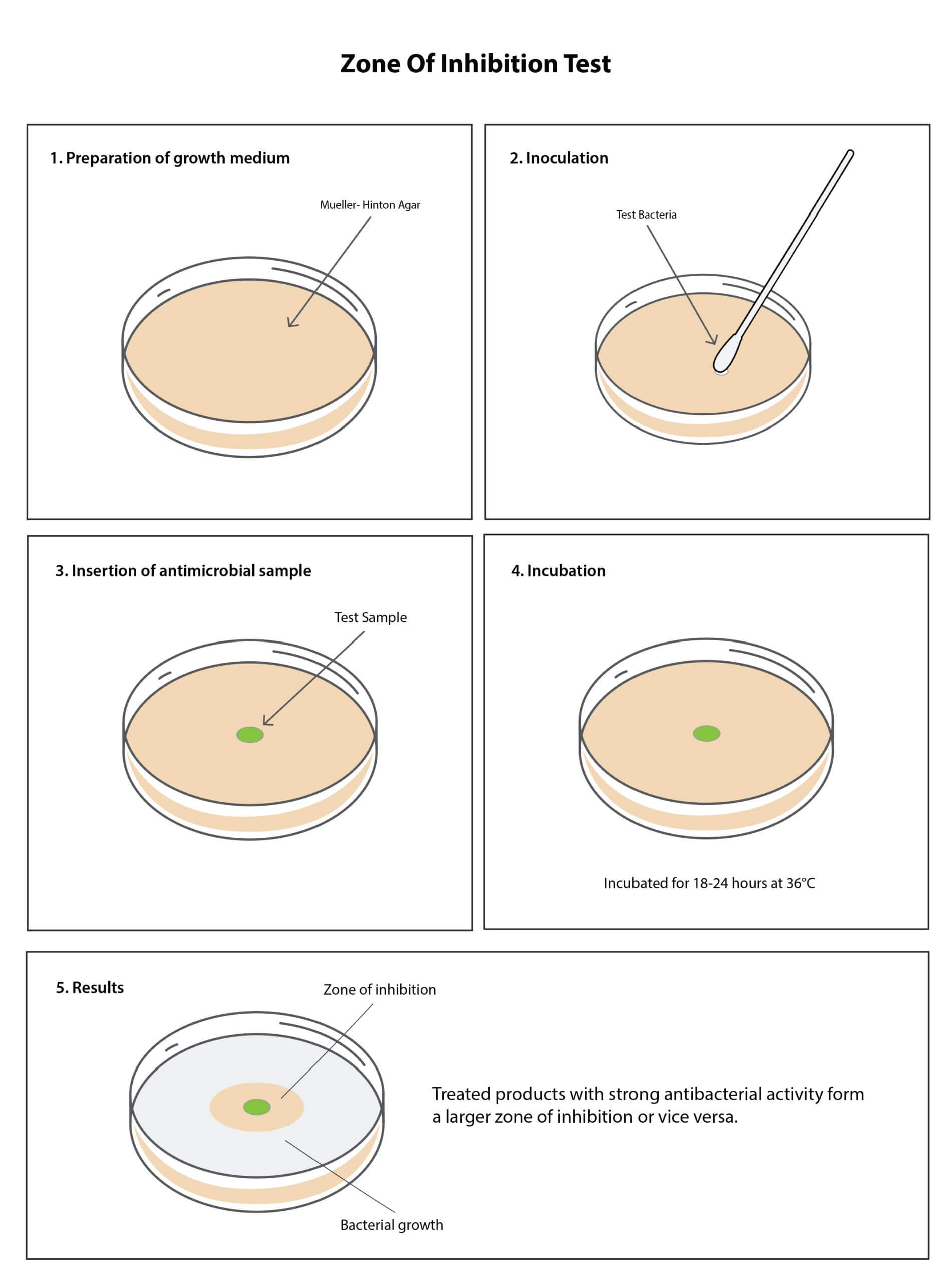 Zone of Inhibition Test - Microbe Investigations