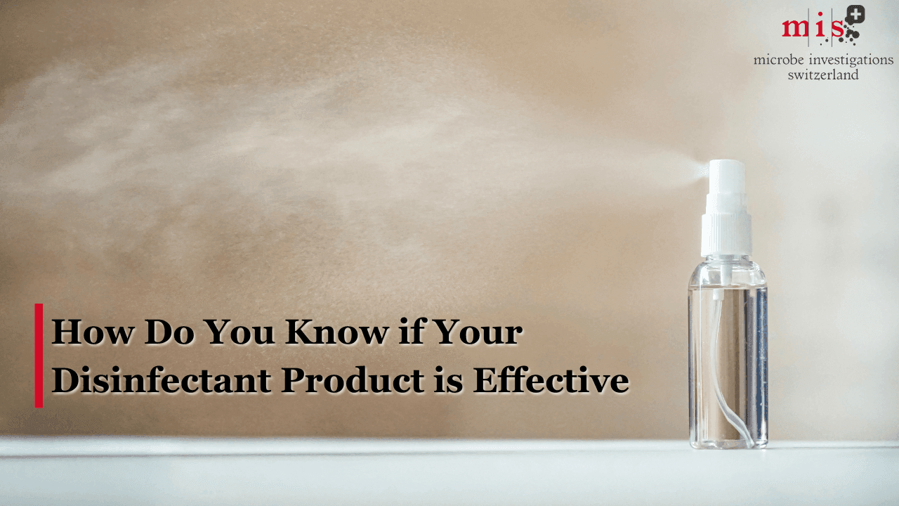 How Do You If Your Disinfectant Product is Effective?