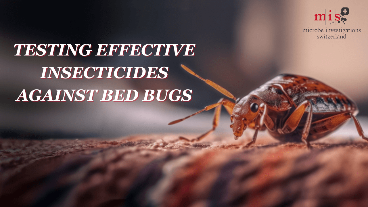 testing-effective-insecticides-against-bed-bugs