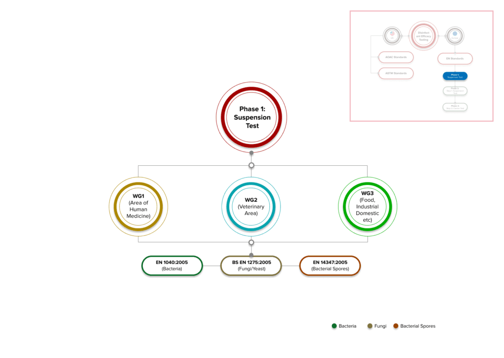 The Ultimate Guide to Disinfectant Testing