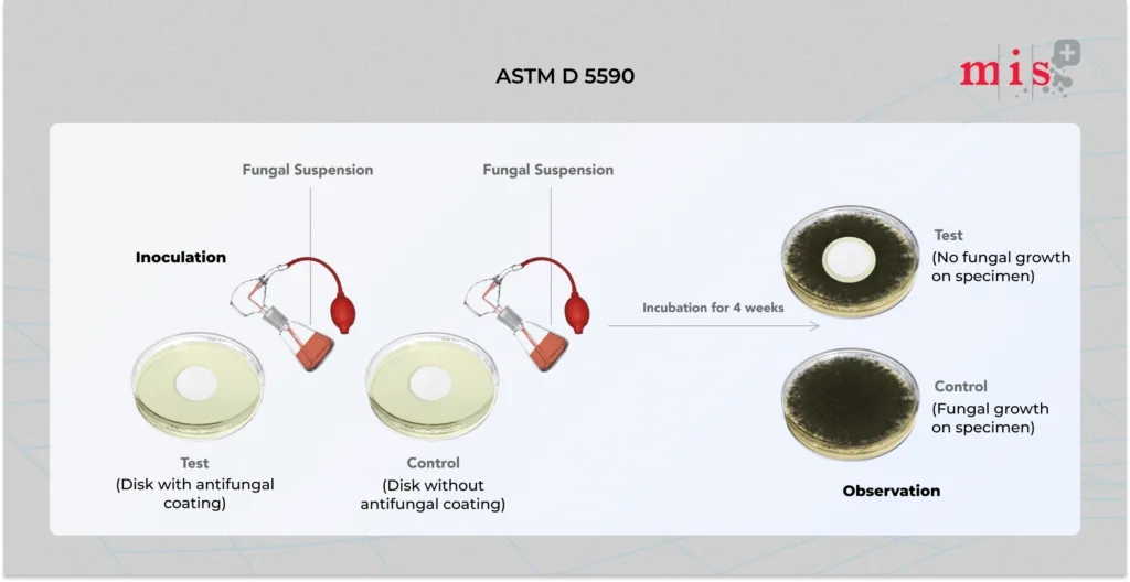 ASTM D5590 - Antifungal Paint Test