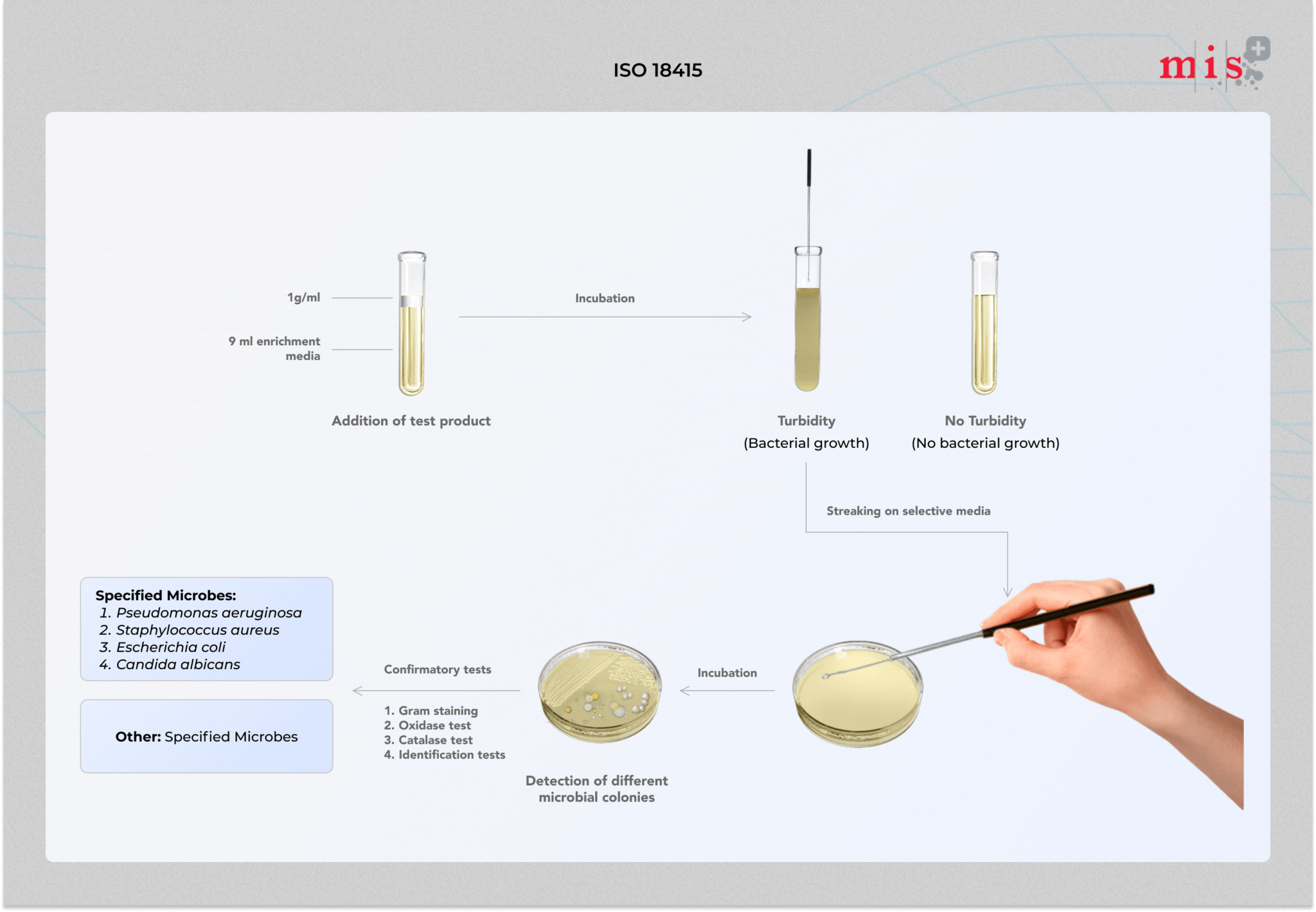 ISO 18415 - Cosmetics - Microbiology Testing