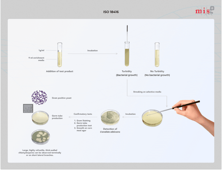 ISO 18416 Testing: Candida albicans Detection in Cosmetics