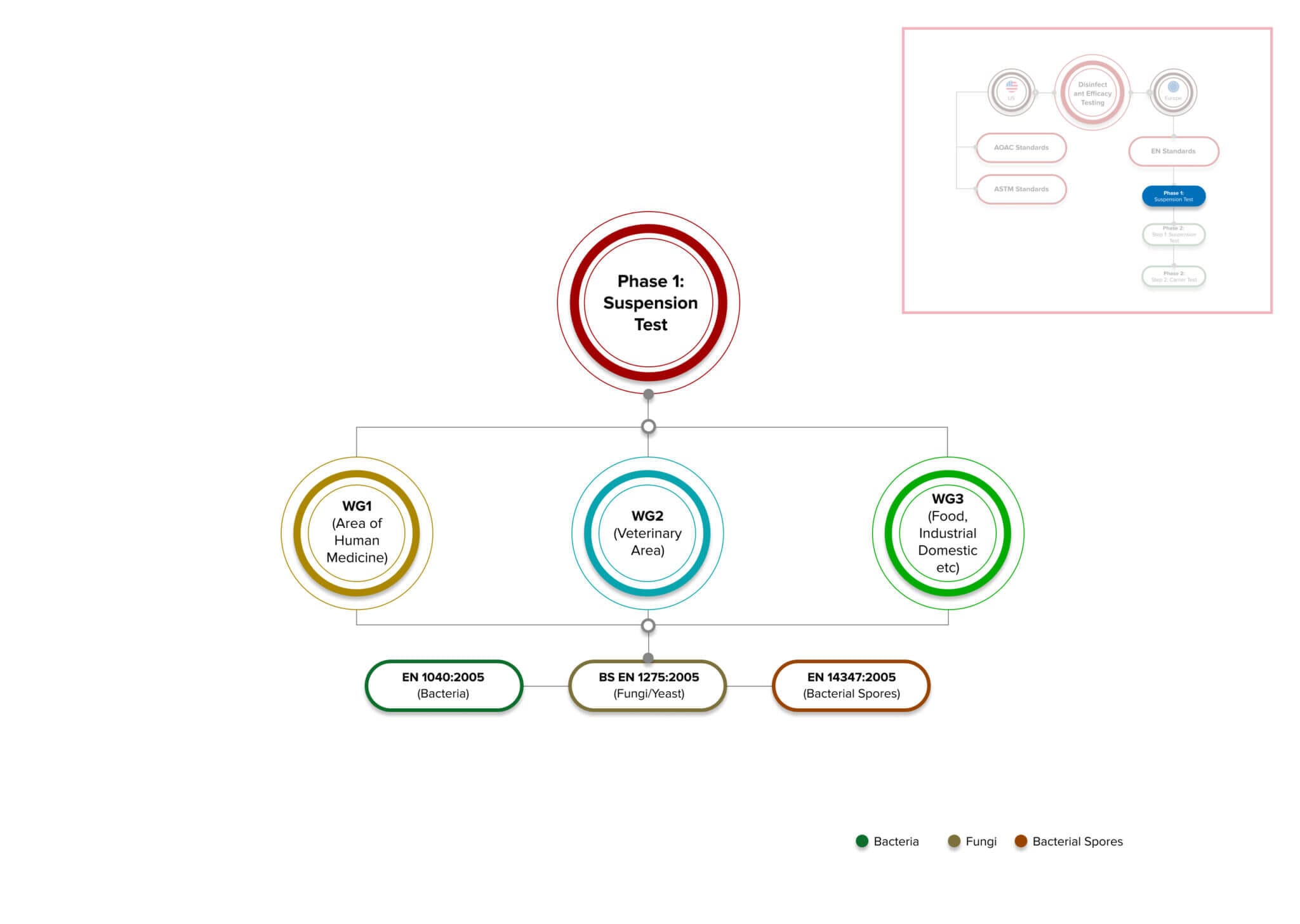 The Ultimate Guide to Disinfectant Testing