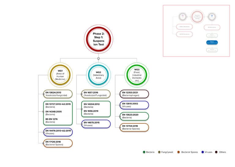 The Ultimate Guide to Disinfectant Testing