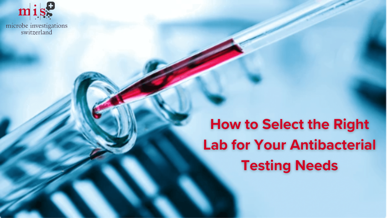 Antibacterial Testing Lab: How to Select the Right Lab