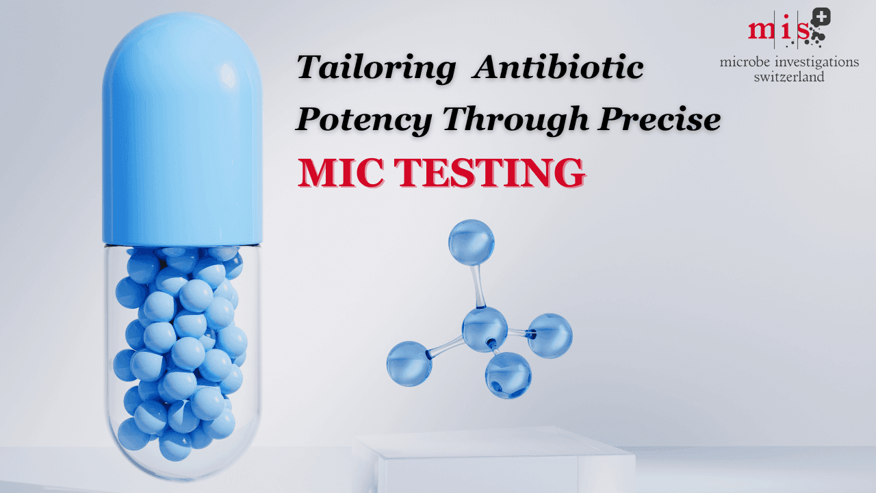 Mic Testing Tailoring Antibiotic Potency Through Precise Testing