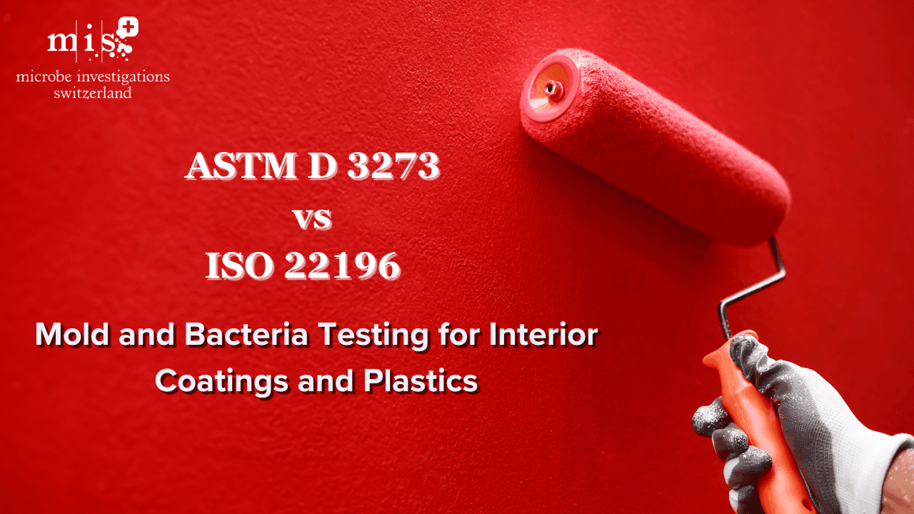ASTMD 3273 & ISO 22196 : Mold and Bacteria Testing