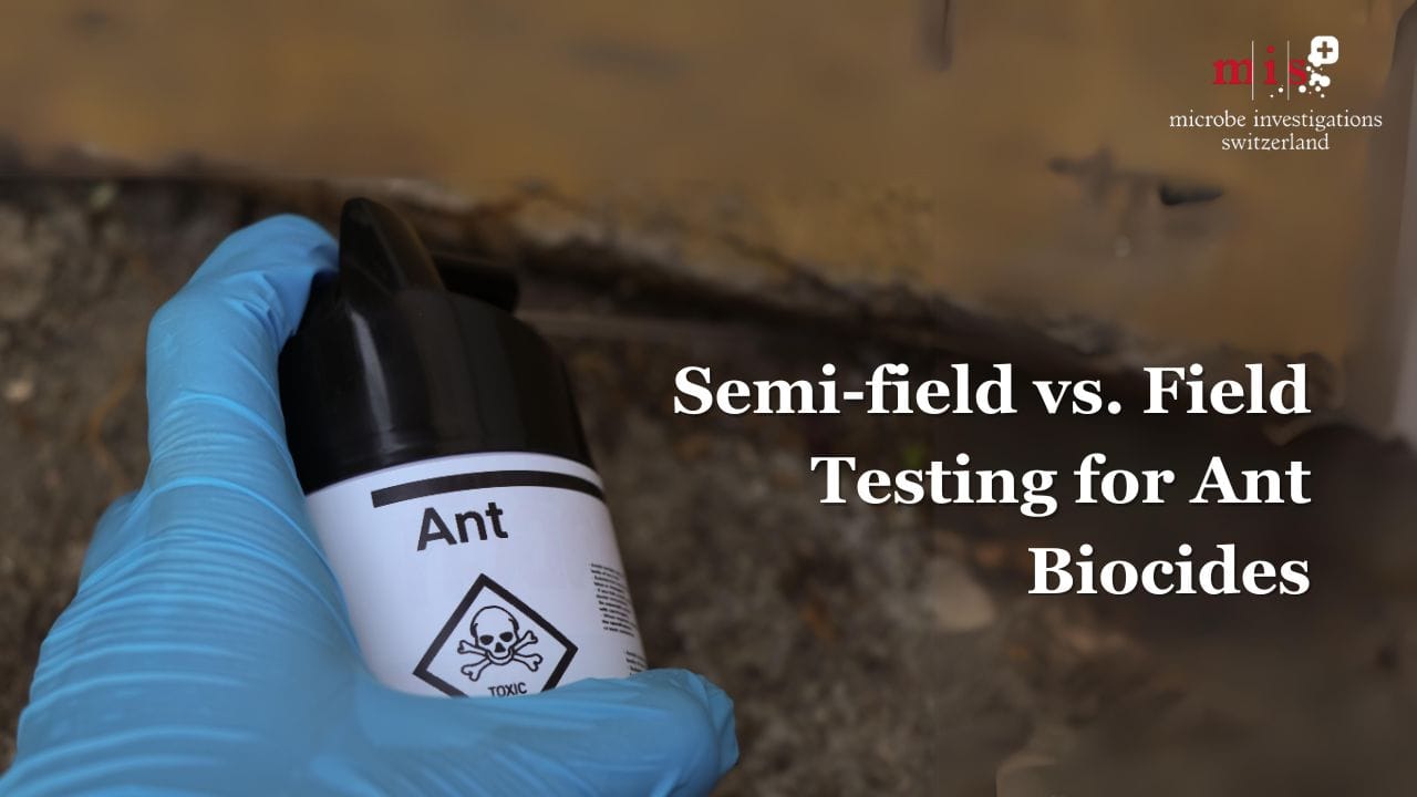 Semi-Field vs Field Ant Biocide Testing