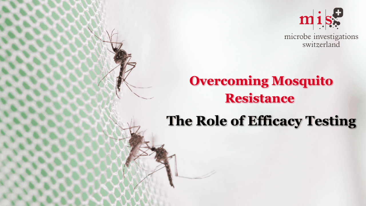Overcoming mosquito resistance: The Role of efficacy testing