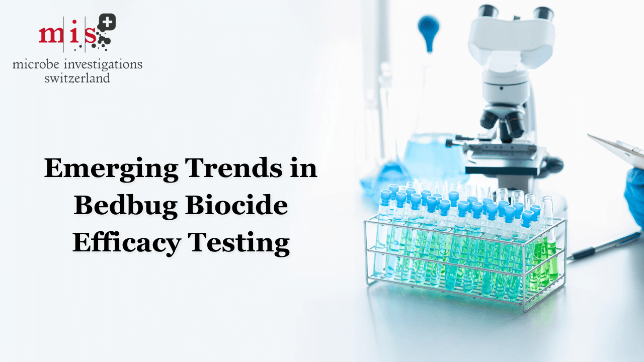 bedbug biocide efficacy testing