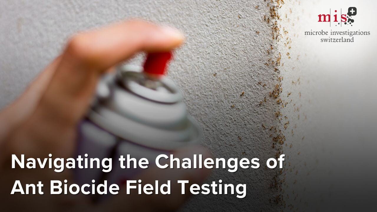 Challenges in Field Testing of Ant Biocides