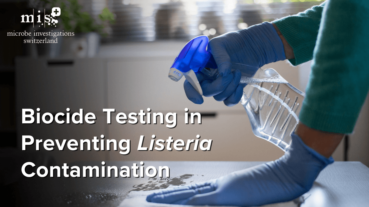 The Role of Biocide Testing for Listeria in Preventing Contamination