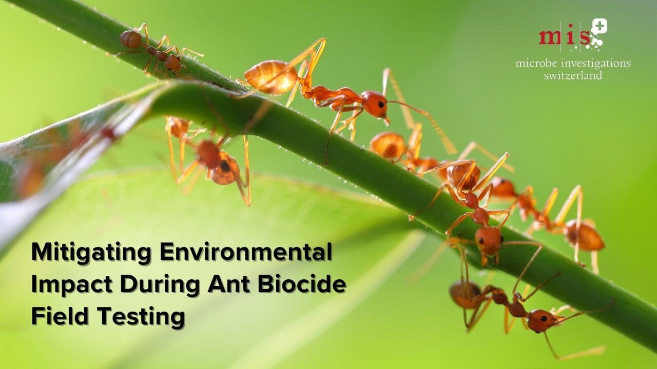 Mitigating Environmental Impact During Ant Biocide Field Testing ...