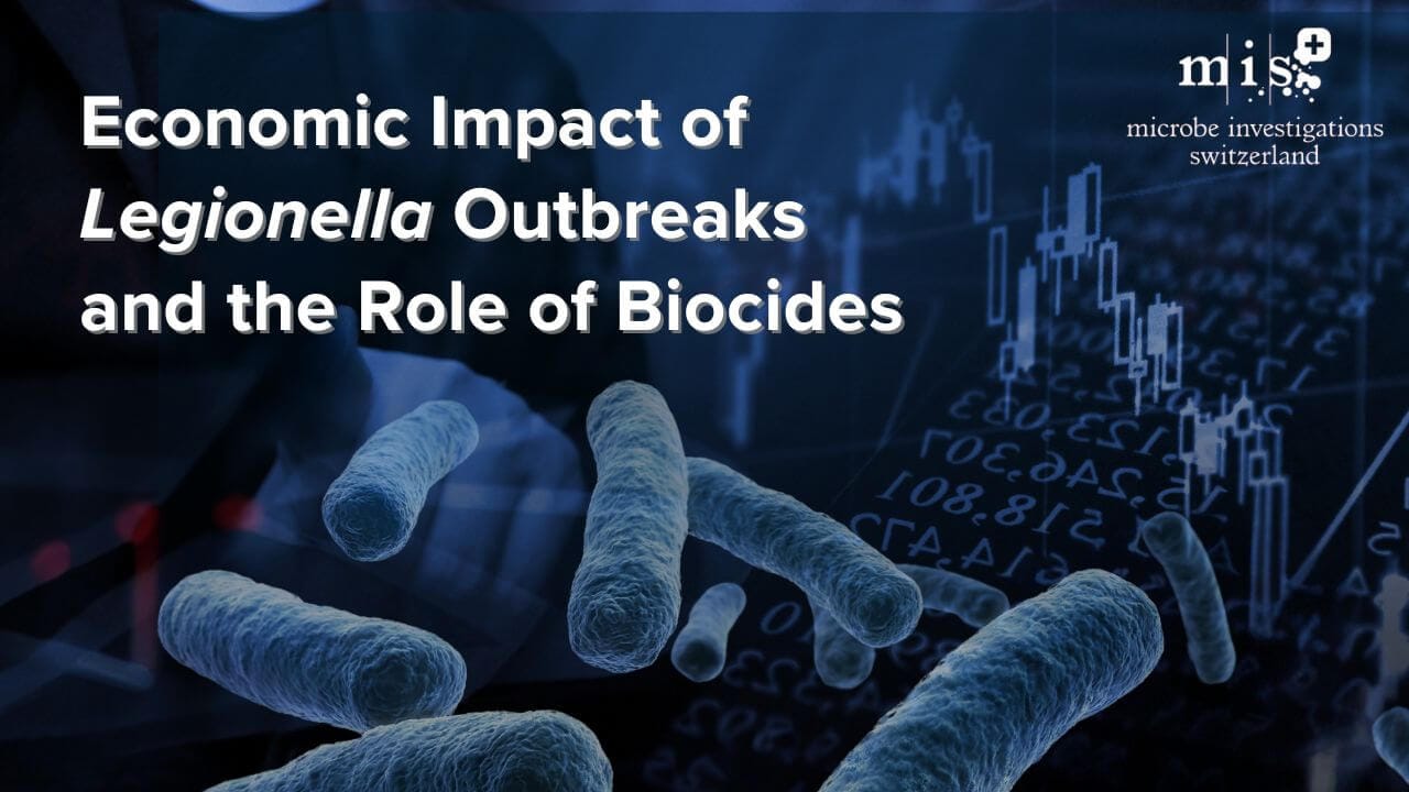 Economic Impact of Legionella Outbreaks and the Role of Biocides