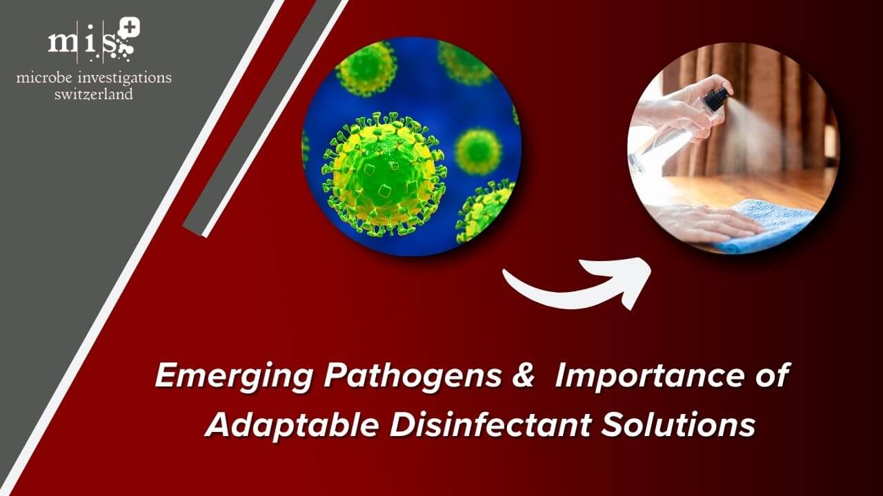 Effective Disinfectants for Emerging Pathogens: New Solutions