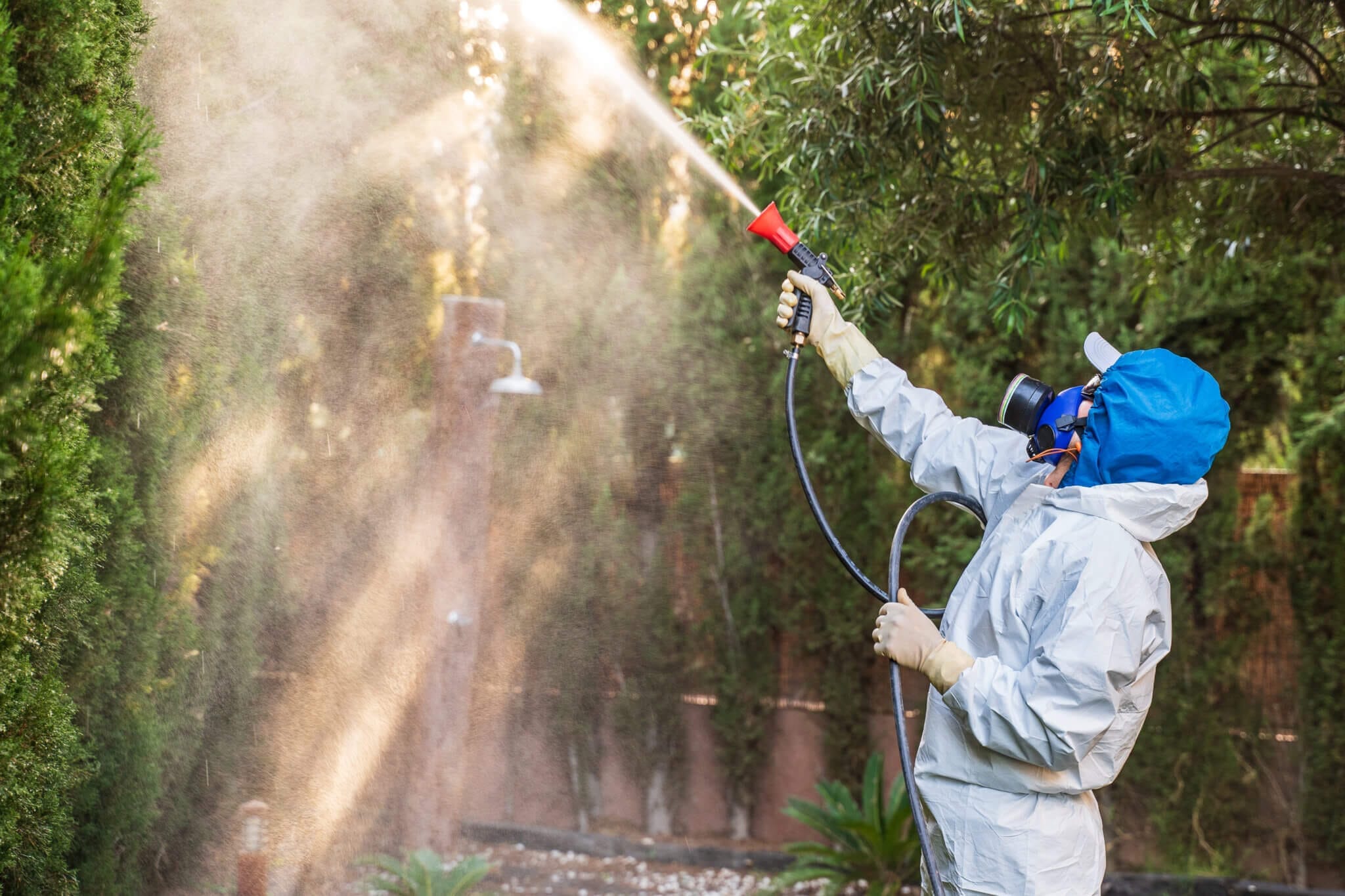 Urban pest control strategies: In depth analysis