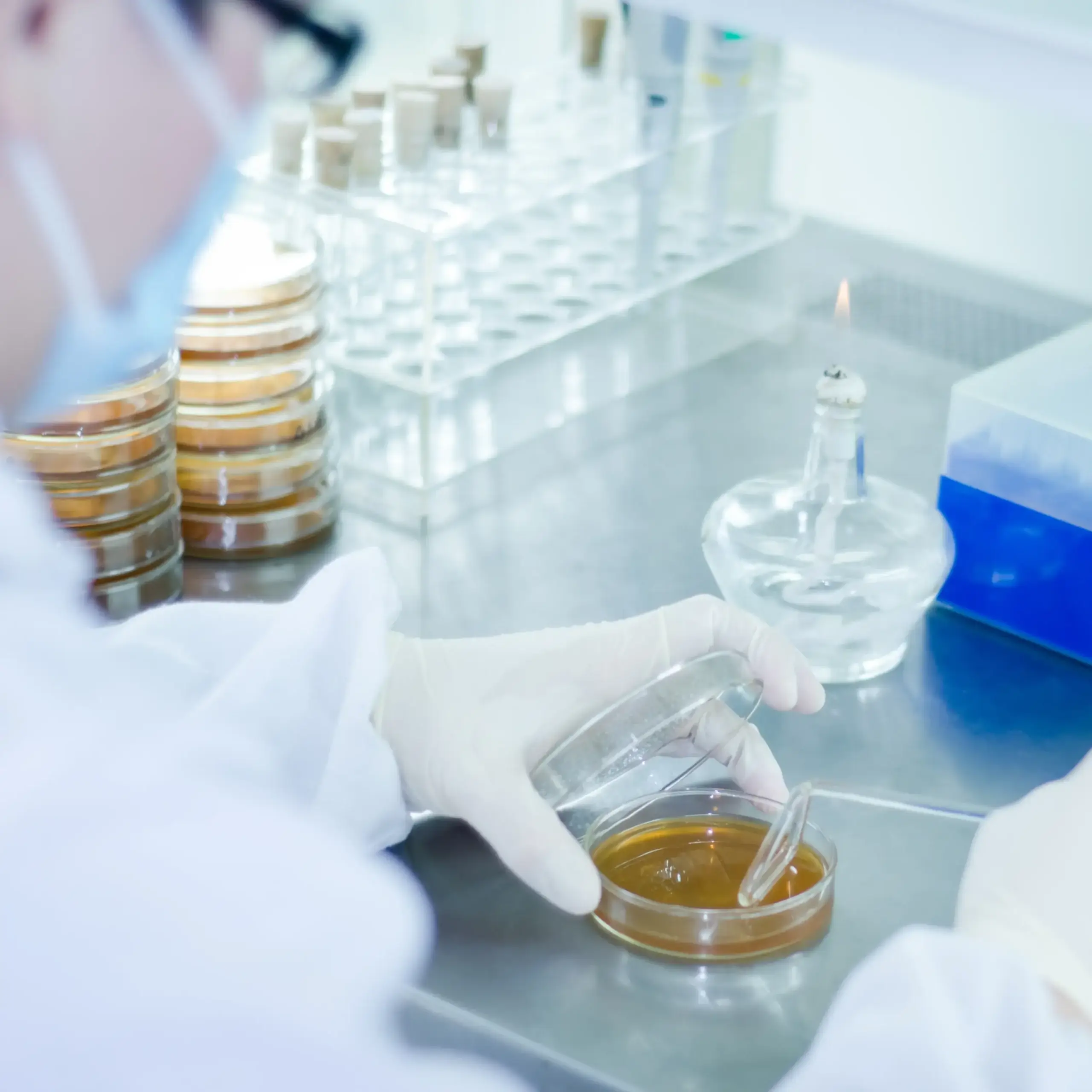 Antibacterial Testing Laboratory - Microbe Investigations