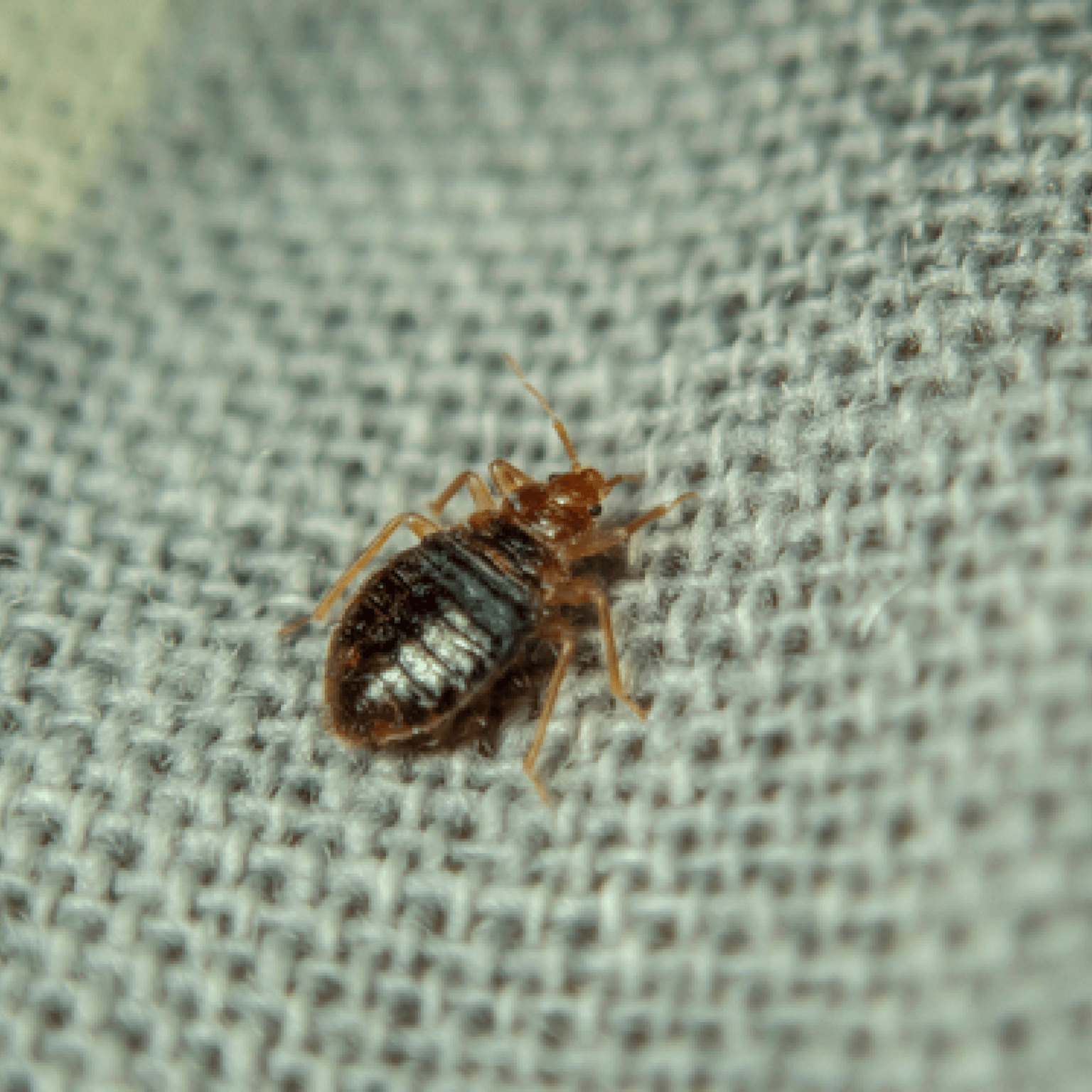 Textile Testing Lab - Comprehensive Textile Testing Laboratory Services