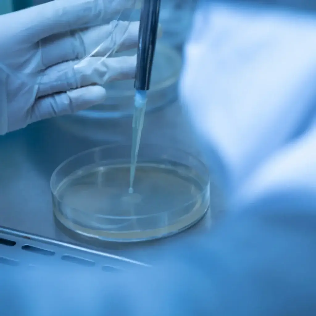 Antibacterial Testing Laboratory - Microbe Investigations