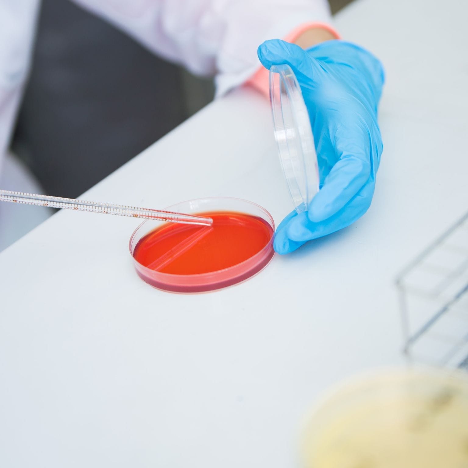 Cosmetic Testing Services for Safe Personal Care Products