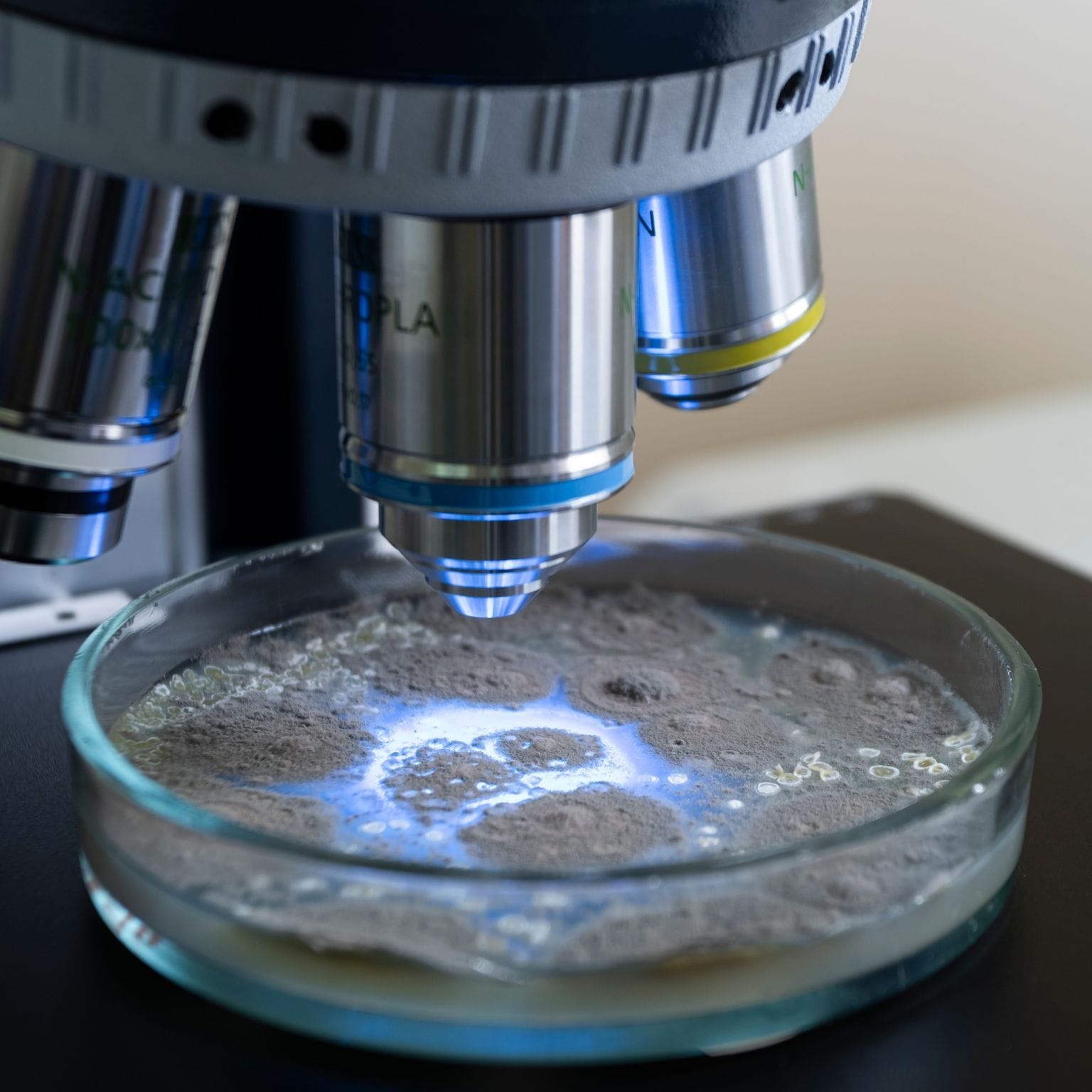 Cosmetic Testing Services for Safe Personal Care Products