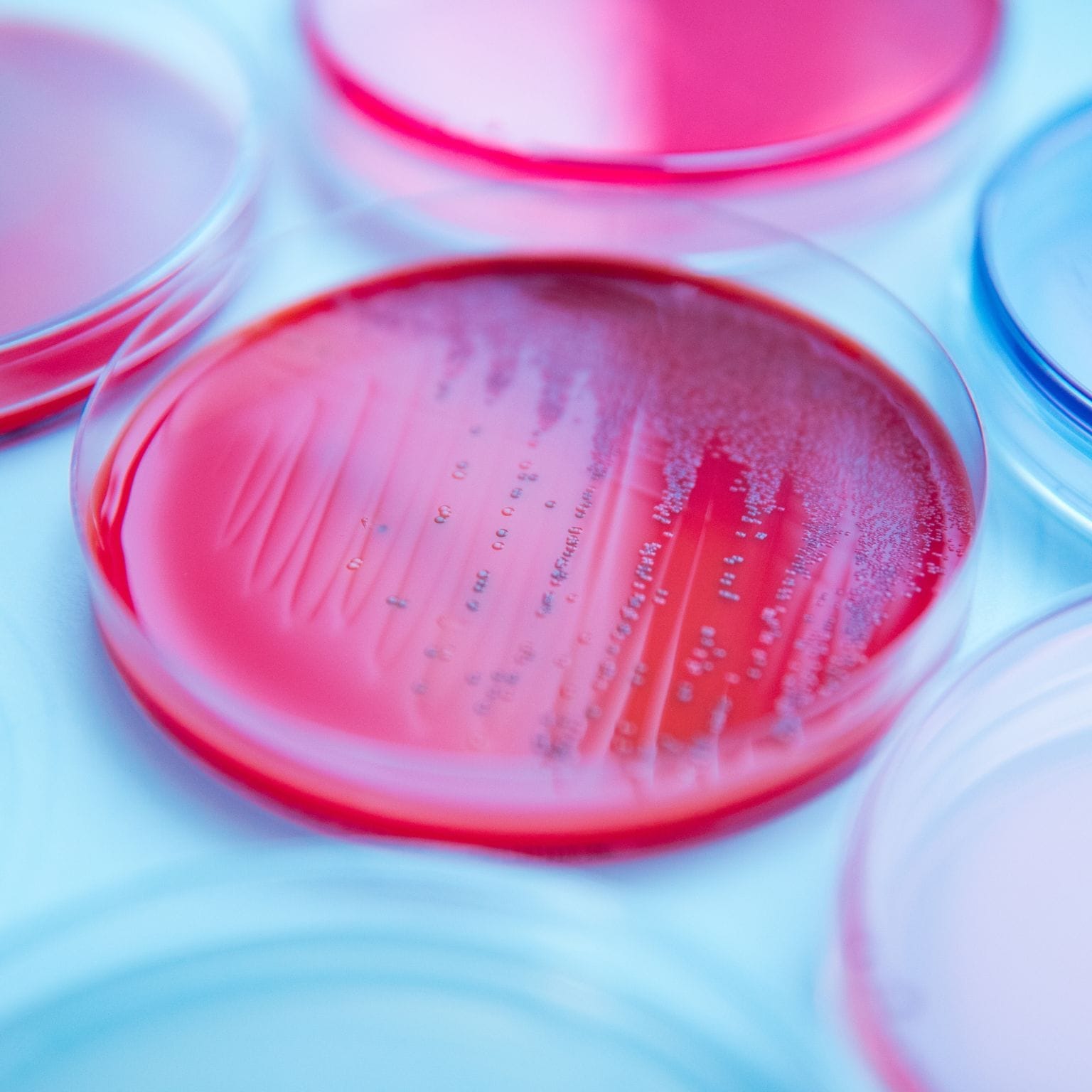 Cosmetic Testing Services for Safe Personal Care Products