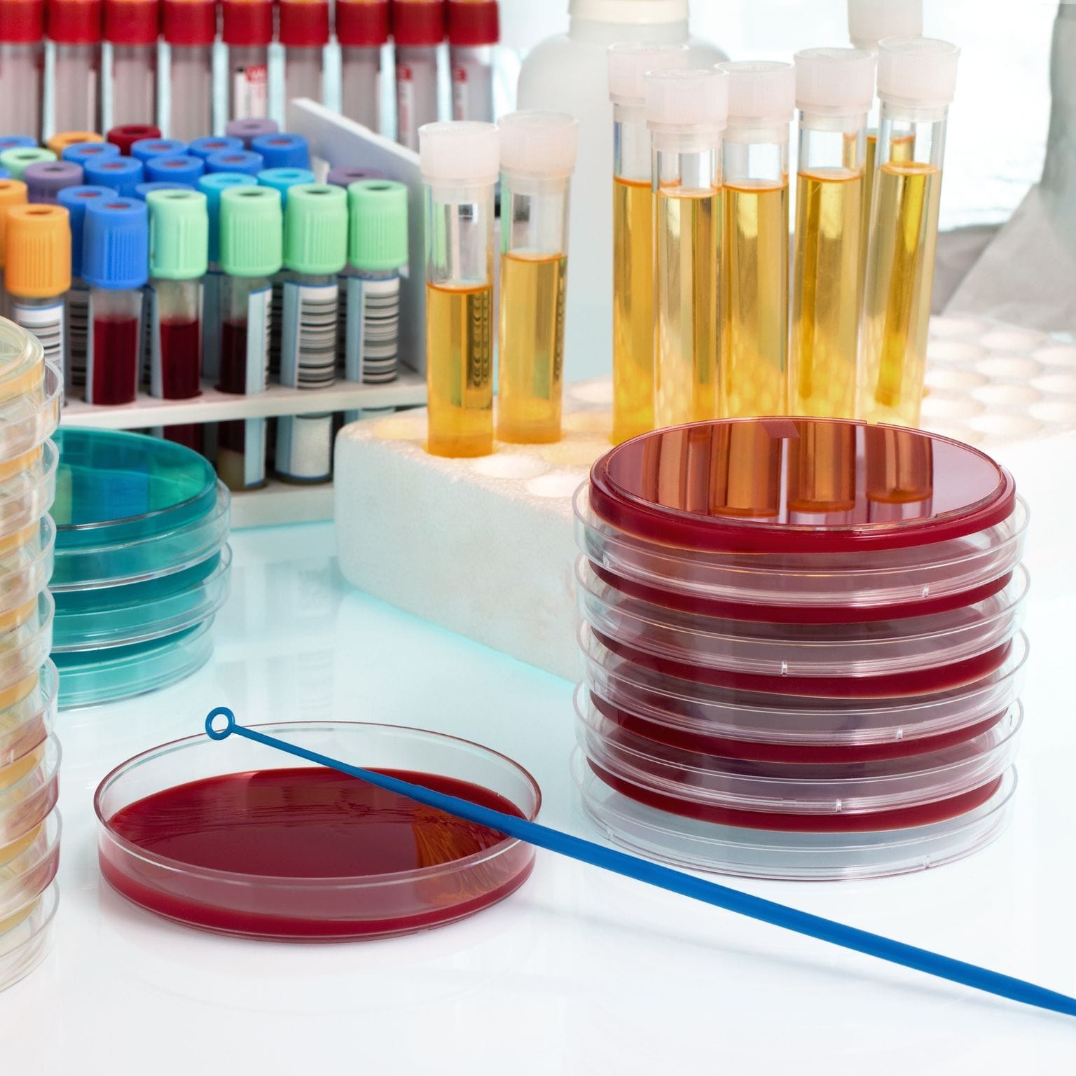 Cosmetic Testing Services for Safe Personal Care Products