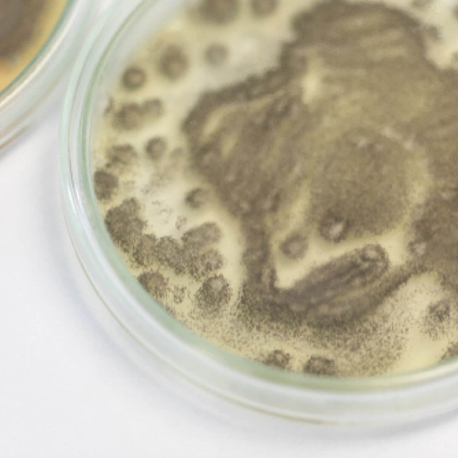 Paint Testing Laboratory - Expert Coating Testing Services