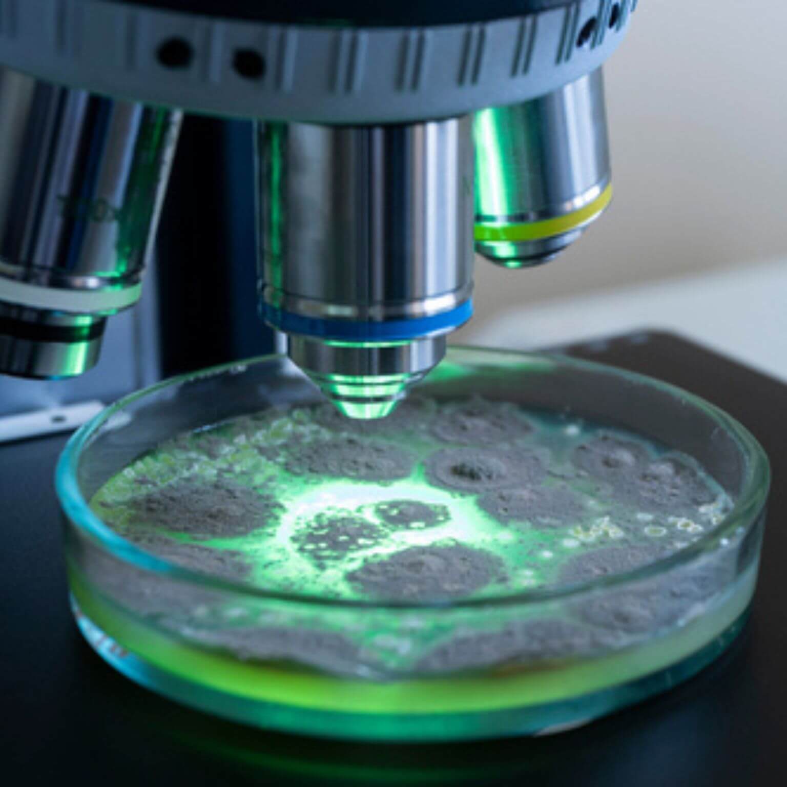 Paint Testing Laboratory - Expert Coating Testing Services