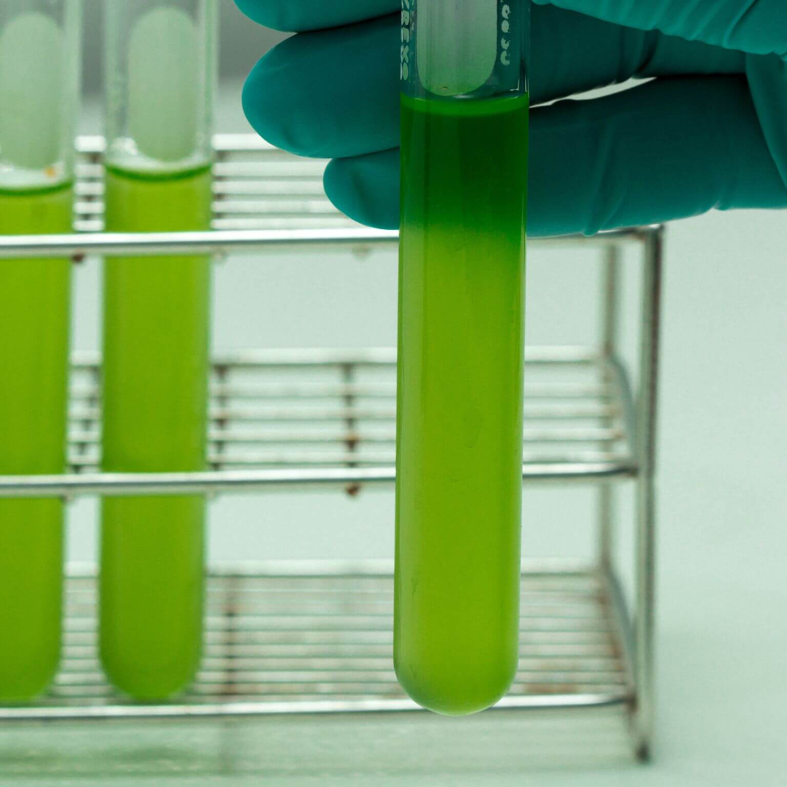 Paint Testing Laboratory - Expert Coating Testing Services