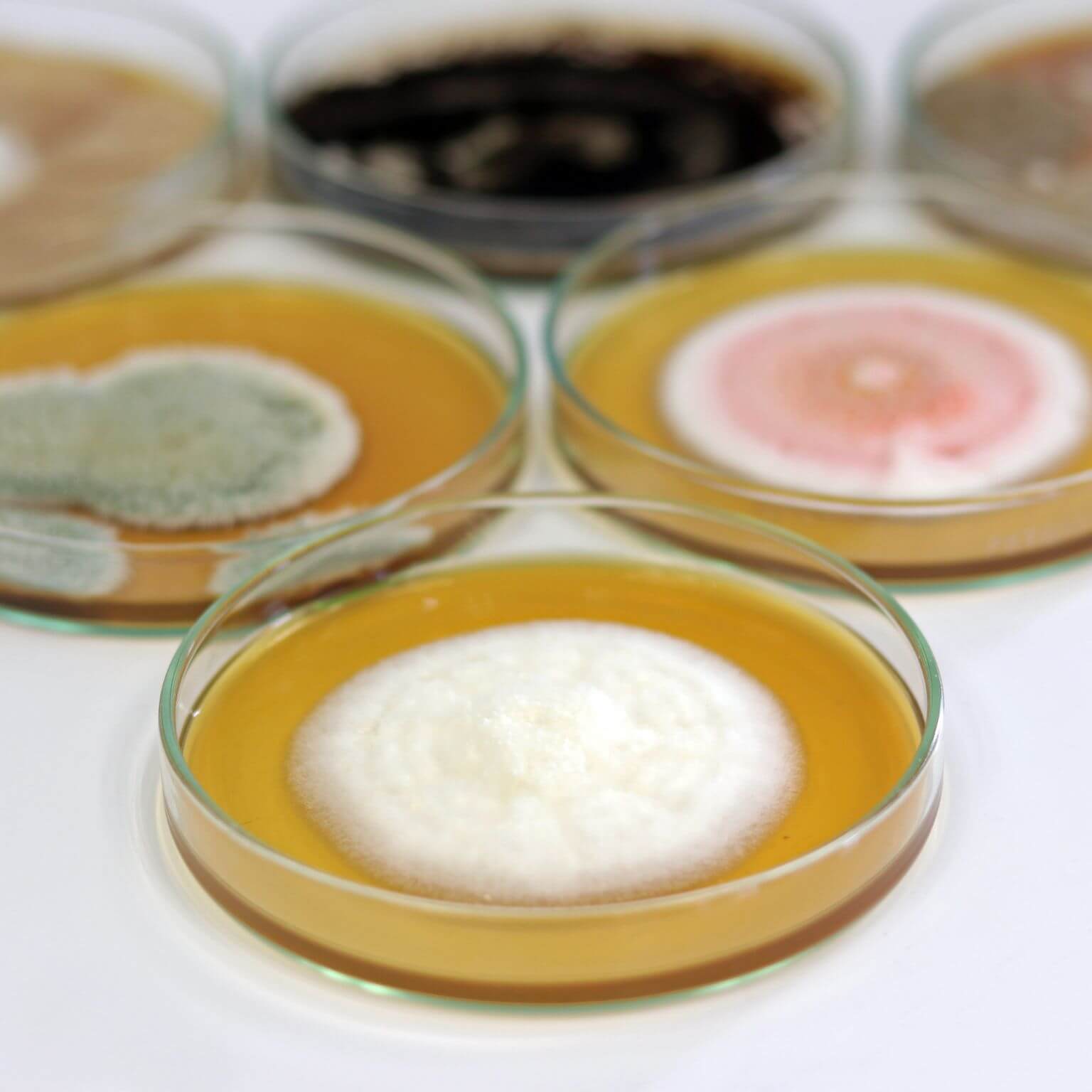 Plastic Testing Laboratory – Advanced Plastic Testing and Polymer ...