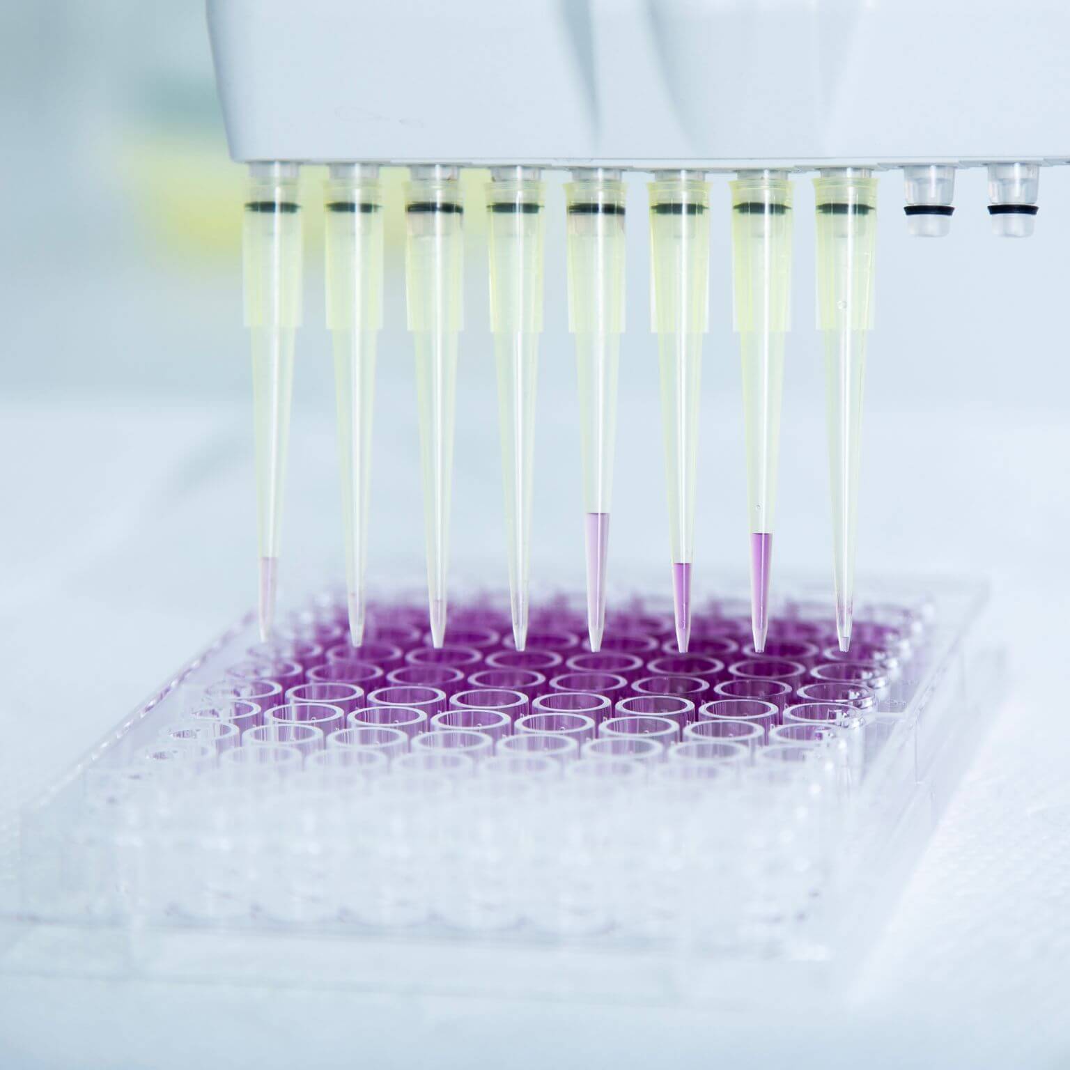 Plastic Testing Laboratory – Advanced Plastic Testing and Polymer ...