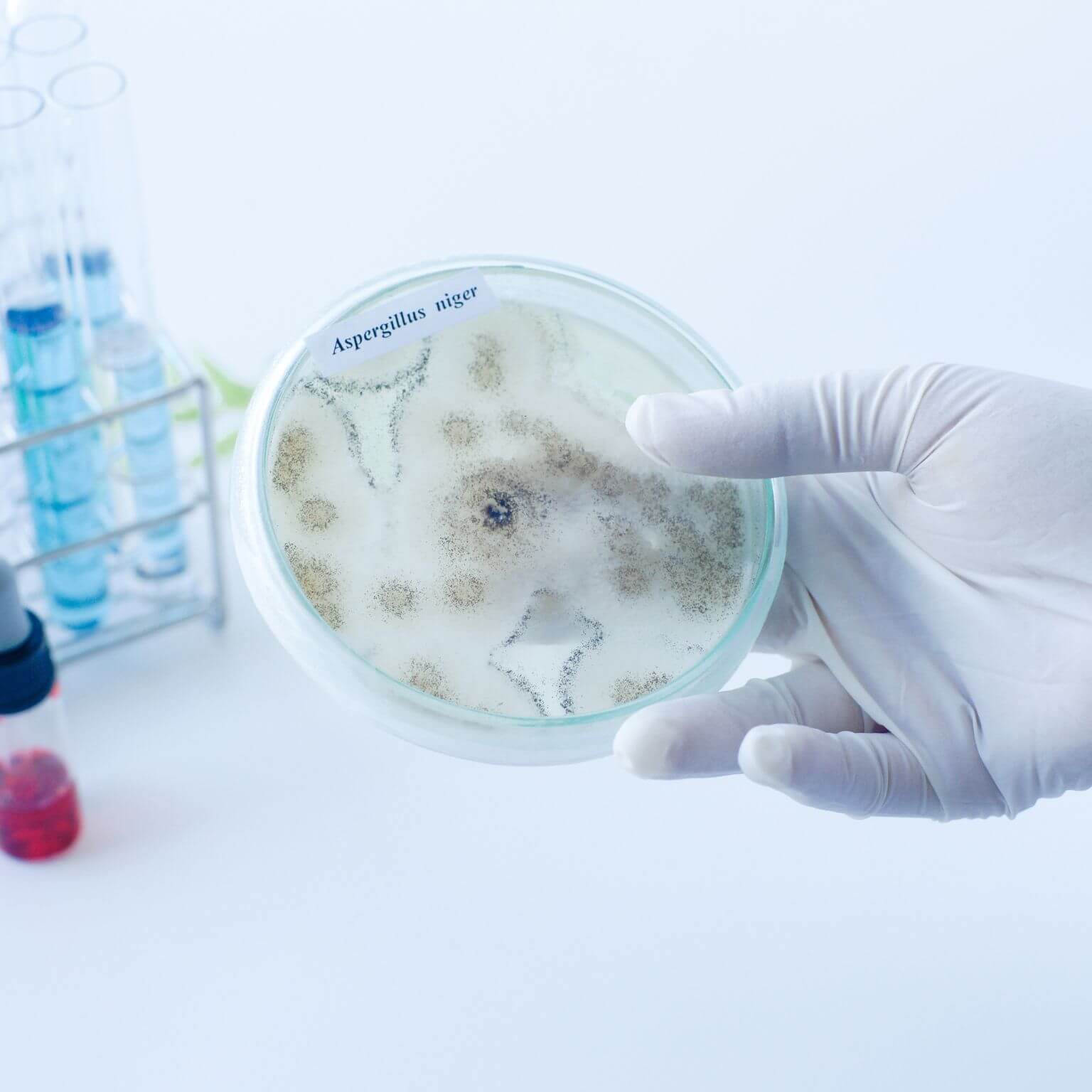 Plastic Testing Laboratory – Advanced Plastic Testing and Polymer ...