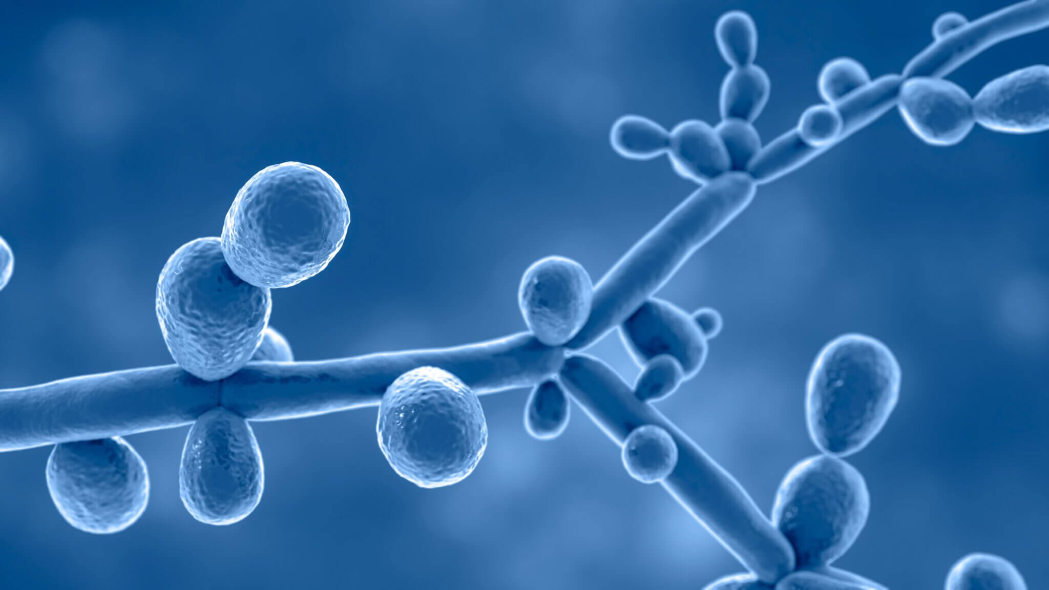 Usp61 Microbial Enumeration Tests