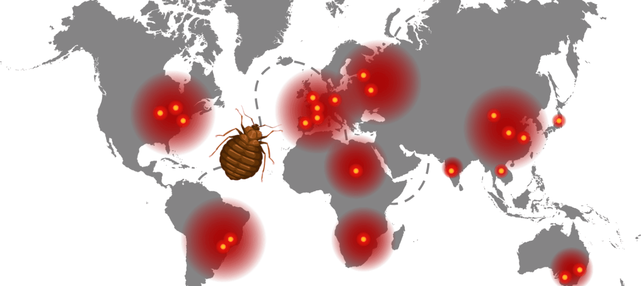 Top bed-bug infested cities in the world and why