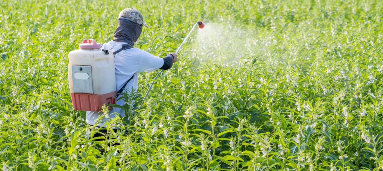 Biocide testing: How to test their efficacy?